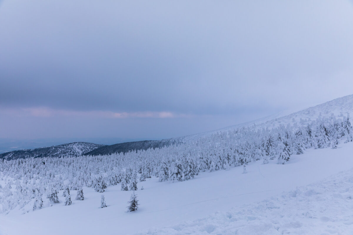 Surreal Snow-Sculpted Trees in Zao Mountains, Japan | Japon Secret