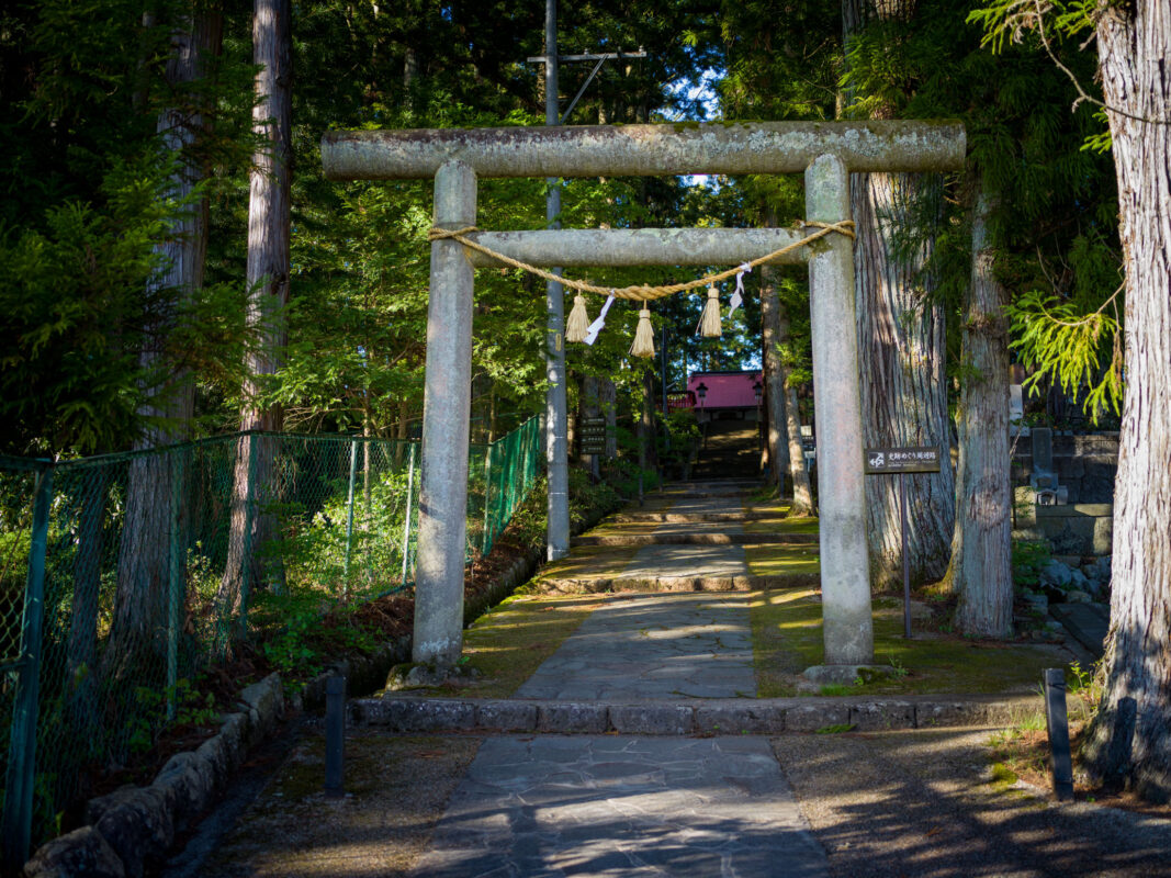 Tranquil Torii Gate Path in Higashiyama, Kyoto | Japon Secret
