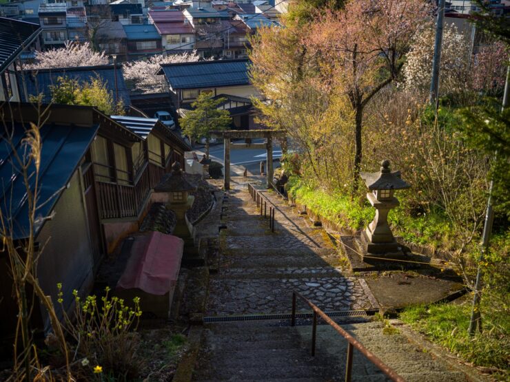 Serene Japanese Shrine Path: Sugigatani Shinmeis Natural Beauty | Japon ...